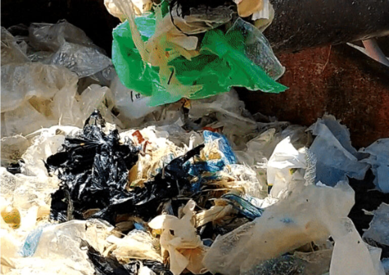 Twister™ Announce Food Waste Depackager Separator Breakthrough in ...