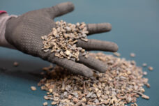 REDWAVE Launches Revolutionary XRF Fine Sorting Machine, setting new ...