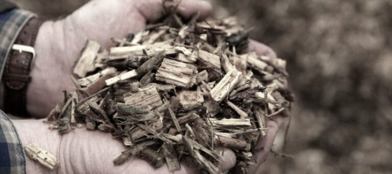 Wood Recycling in 2026: Key Trends & Innovations